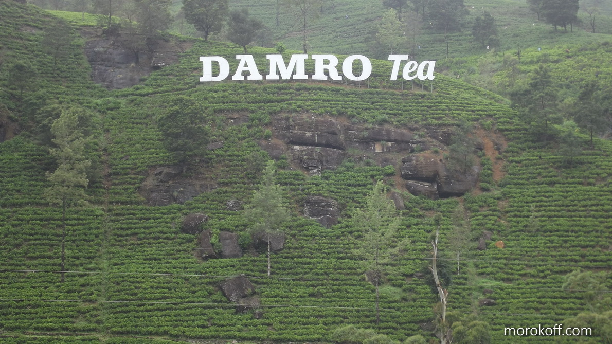 Damro Tea | morokoff