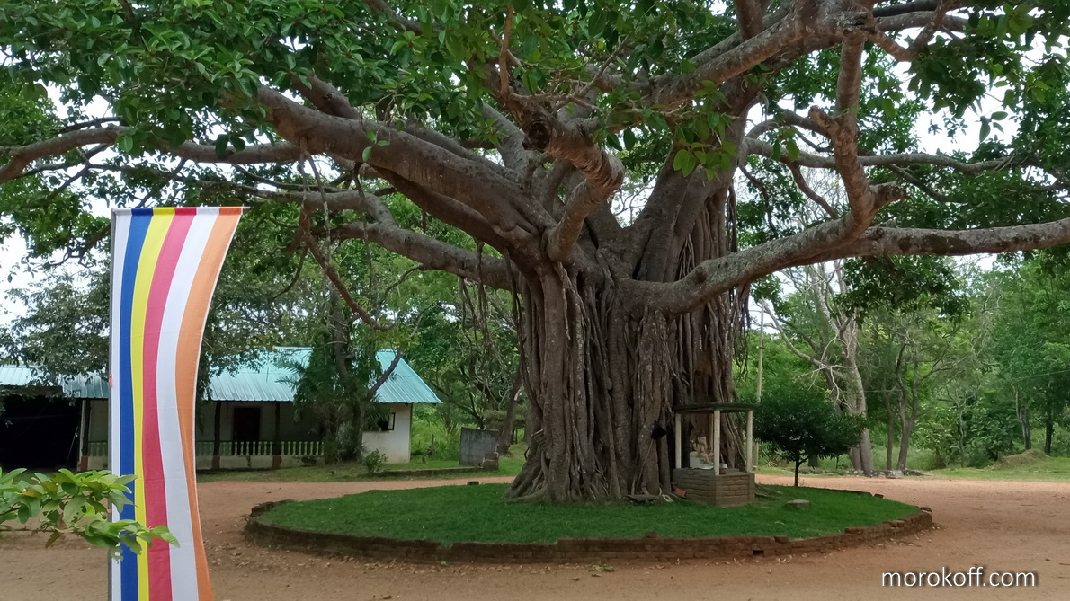 Sigiriya | morokoff